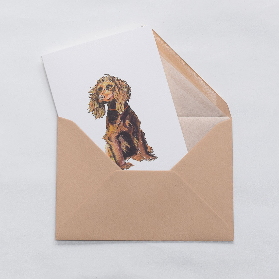 Salty Spaniel Dog Greeting Cards – Pemberly Fox